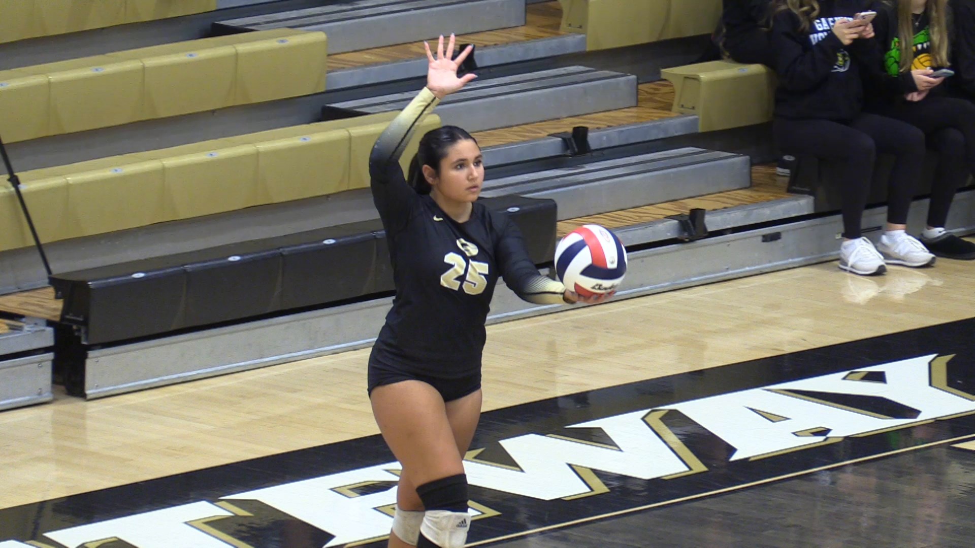 Gateway Gator Productions