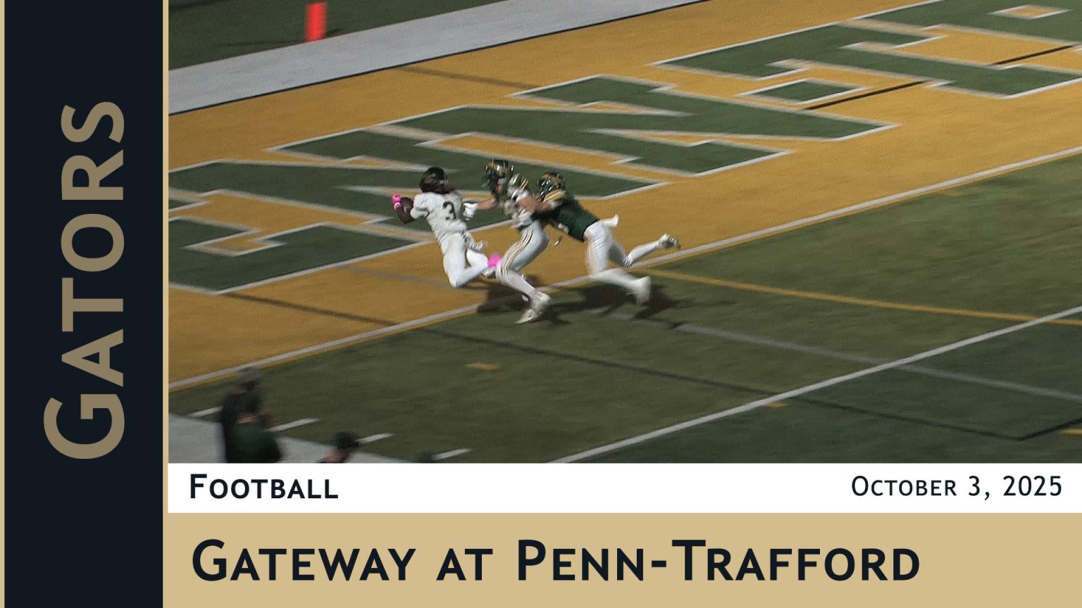 Home Page | Gateway Gator Productions